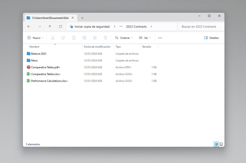 The Linked Folder | Manual Dataprius