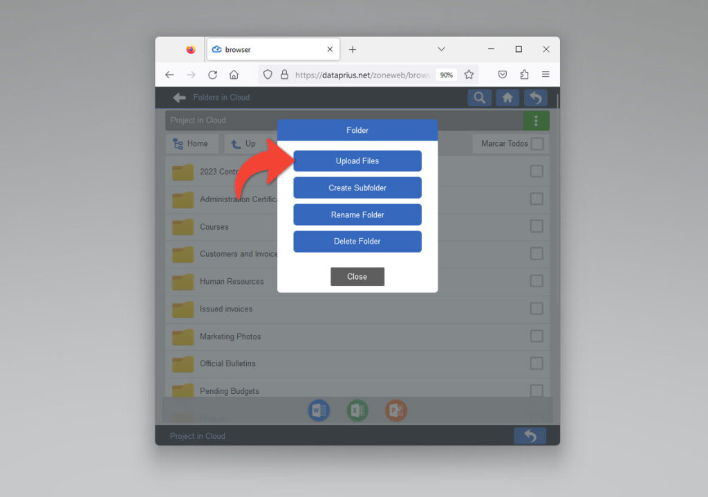 Web Files Received | Manual Dataprius