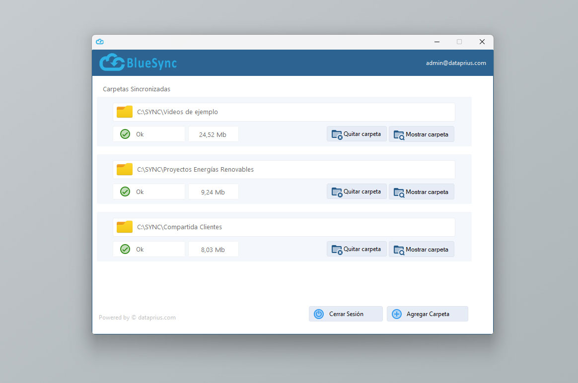 BlueSync Sincronizador Dataprius | Manual